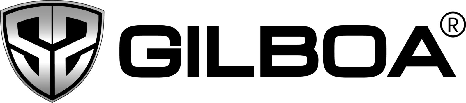 Our History – US Silver Shadow